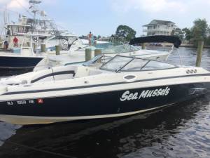 Vinyl Lettering Gallery Page 100